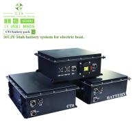 China Lithium Iron Phosphate Battery 307.2v 50ah Lifepo4 Battery For Marine Boat for sale
