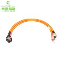 China CTS Industrial Wiring Harness for Motorcycle Auto Electric Vehicle High Voltage Power Cable for sale