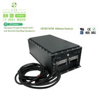 China CTS Custom Battery 24V 48V 100Ah 200Ah 300Ah 400Ah Lithium Lifepo4 Battery Pack for AGV Robot Lift Platform Elevator for sale