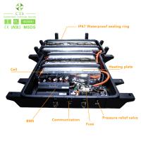 China Electric Car LIFEPO4 Lithium Ion Battery 350v 400v 20kwh 30kwh 40kwh EV Battery Pack for sale