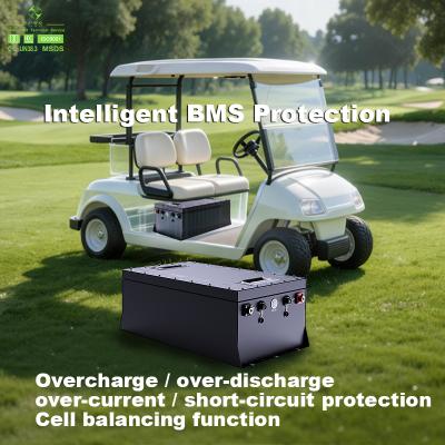 China 4000+ Cycles Lithium Ion Battery 36V 48V 60V 72V 105Ah for Golf Cart AGV Forklift No Maintenance for sale