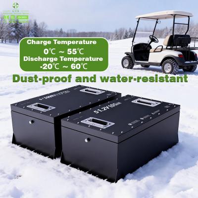 China CTS 48V 64V 72V 105Ah 50Ah Electric Golf Cart Battery Lightweight High Efficiency Durable Performance for sale