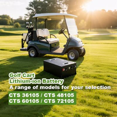 China CTS 48V 100Ah LiFePO4 Golf Cart Battery for Electric Golf Carts & NEV with Bluetooth BMS for sale
