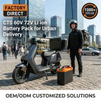 China CTS Custom 60V 50Ah LiFePO4 Lithium Battery Pack for Urban Delivery E-bike OEM ODM with CAN/RS485 for sale