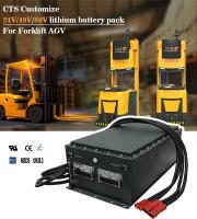 China CTS OEM ODM 24V 48V 280Ah LiFePO4 Battery Pack for AGV Industrial Robot Power System for sale