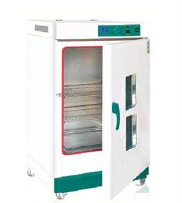 China Vertical type Lab Forced Air Drying Oven With Stainless Steel Chamber for sale