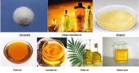 China Wiped Film Molecular Distillation Equipment Ginger Oil Purification for sale