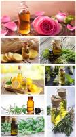 China Wiped Film Molecular Distillation Equipment Ginger Oil Purification for sale