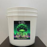 China 1.0 to 2.5 MM Thickness Customizable Water Bucket with Lid Leak Proof Plastic Bucket for sale