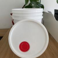 China Certified by GAP/ISO/FDA Made in 5L 10L 20L 25L Plastic Bucket for Liquid Container for sale