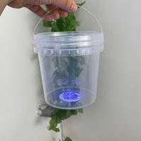 China Chemical Grade 500ml 10 Liter Plastic Buckets Food Bucket in Round or Square Shape for sale