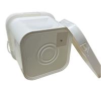 China 5L 10L 20L 25L Plastic Bucket for Chemical and Recycle in Industrial Applications for sale