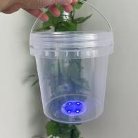China 200ml 300ml 500ml 750ml Round Clear Plastic Bucket Food Grade with Buckets Lid handle for sale