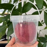 China Food Grade Plastic Bucket Supply Round Delivery Container with GAP/ISO/FDA Certificate for sale
