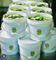 China 10KG Pickles Bucket with Lid Chemical Leak Proof Food Storage Container for sale