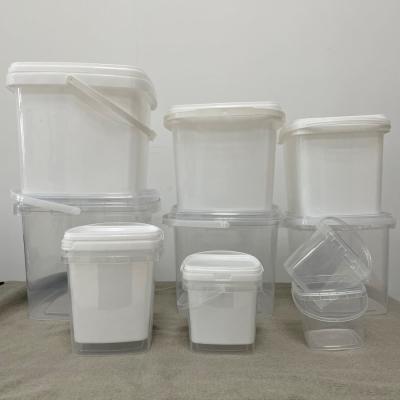 China 1L Clear Plastic Container With Air Tight Lid For Customized Storage and Organization for sale