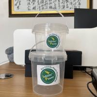 China Durable PP Clear Bucket for Food Grade Ice Cream and Cheese Container Customize YES for sale