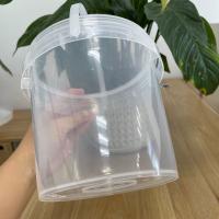 China Print Method Sticker Label Custom Packaging Butter Bucket Clear Pail Plastic Buckets for sale