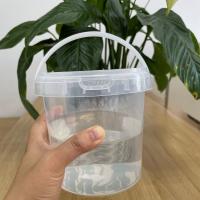 China Food Pail Tamper Evident Cover Plastic Bucket Container Made In for Heat Transfer Printing for sale