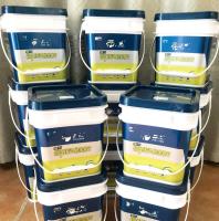 China Food Safe Plastic Bucket 1L - 25L Bucket with Temper Lid for sale