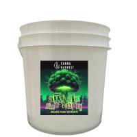 China Food Safe Plastic Bucket 1L - 25L Bucket with Temper Lid for sale