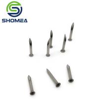 China Customized  Stainless Steel Cannula  needle with Bell mouth for sale