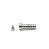 China Customized TC4 Titanium Alloy Composite Temporary Abutment With Fixation Screw for sale