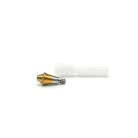 China Customized TC4 Titanium Alloy Composite Straight Abutment with Gold Collar for sale