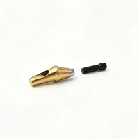 China Customized TC4 Titanium Alloy Angled Restoration Abutment with Screw for sale