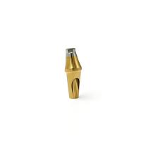China Customized TC4 Titanium Alloy Angled Restoration Abutment with Screw for sale
