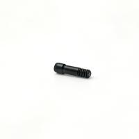 China Customized TC4 Titanium Alloy Angled Restoration Abutment with Screw for sale