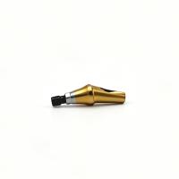 China Customized TC4 Titanium Alloy Angled Restoration Abutment with Screw for sale