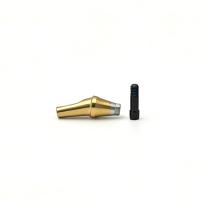 China Customized TC4 Titanium Alloy Angled Restoration Abutment with Screw for sale