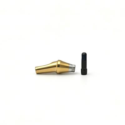 China Customized TC4 Titanium Alloy Angled Restoration Abutment with Screw for sale
