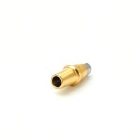 China Customized TC4 Titanium Alloy Restoration Straight Abutment with Central Screw for sale