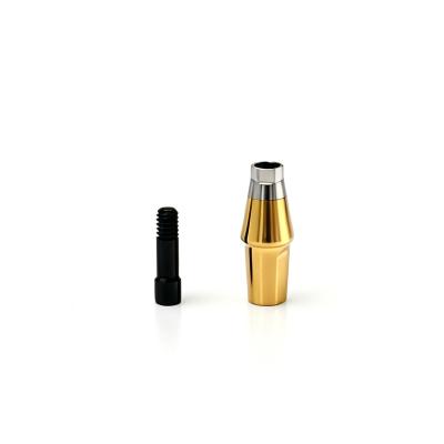 China Customized TC4 Titanium Alloy Restoration Straight Abutment with Central Screw for sale