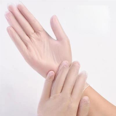 China CE EN455 Certified Transparent Disposable PVC Gloves with Customizable Sizes for Safety Work for sale