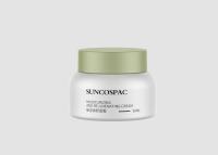 China 50ML 120ML 240ML Cosmetic Bottle And Jar Toner Lotion Cream Contianer for sale