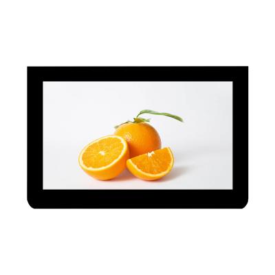 China 11.6 Inch IPS LCD Display Module 1920x1080 Full HD 700 cd/m² Brightness EDP Interface for sale