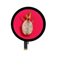 China 5 Inch Round LCD Display 1080x1080 Resolution 500 cd/m² Brightness with MIPI Interface and Capacitive Touch for sale