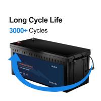 China Rechargeable 200ah 12v Lifepo4 Battery 2560wh LFP 12.8 V Lithium Battery for sale
