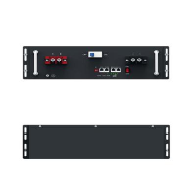 China Rack Mount Solar Battery 5Kwh 51.2V 100Ah Lithium Ion Server Rack Battery LiFePO4 for sale