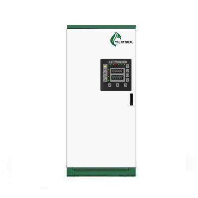 China YouNatural Energy Storage Cabinet ESS 30kW 55kWh Cabinet Bess Solar Battery Energy Storage System for sale