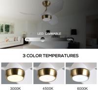 China Smart White Ceiling Fan With 6 Adjustable Speeds and Voice Control for sale