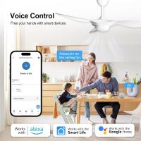 China 6 Speed 52 Inch Ceiling Fan Lighting With Remote Voice And APP Control for sale
