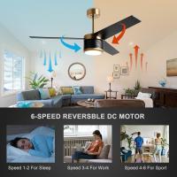 China Smart WIFI Ceiling Fan In White Black Gold 52 Inch Full Brightness for sale