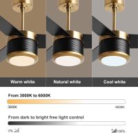 China Smart WIFI Ceiling Fan In White Black Gold 52 Inch Full Brightness for sale