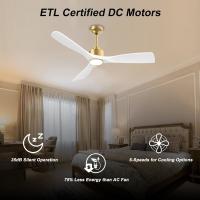 China 52 Ceiling Fan With Dimmable Light ABS Warm White Natural White Cool White for sale