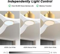 China 52 Ceiling Fan With Dimmable Light ABS Warm White Natural White Cool White for sale