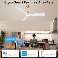 China 52 Ceiling Fan With Dimmable Light ABS Warm White Natural White Cool White for sale